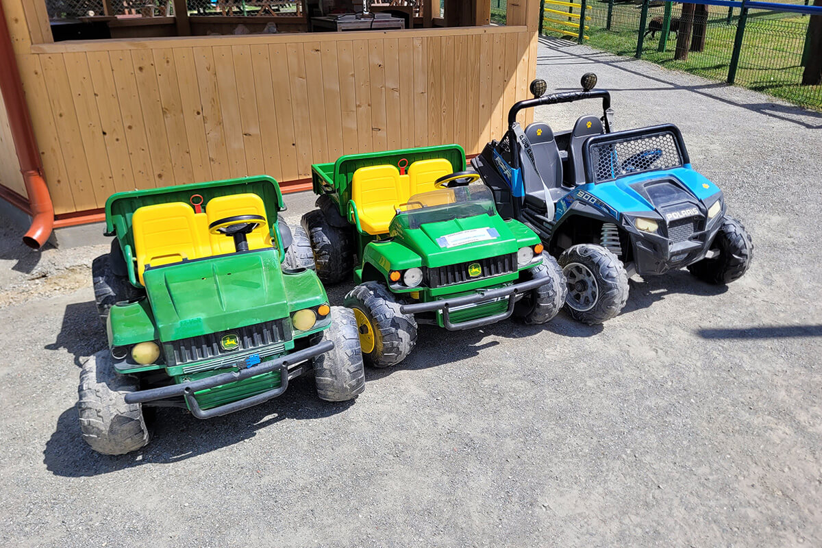 Safari Ride | Živalski vrt Sikaluzoo